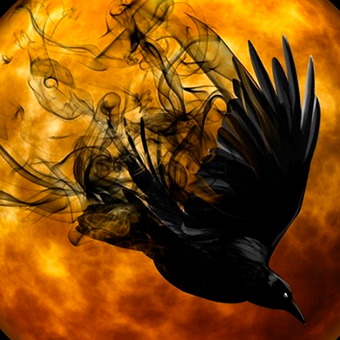 Trommeworkshop: Ravnen flyver igen - Helhed & Harmoni